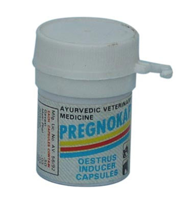 Antacid Powder – Veterinary Medicine in Saharanpur | Kamal Ayurvedic Herbs